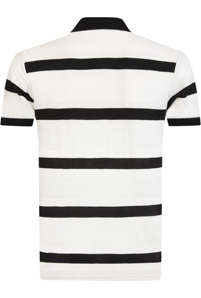 Raymond Fashıon Çizgili Polo Yaka Erkek Tshirt