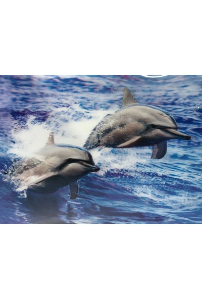 Samur Amazeus 5d Elmas Boyama Sevimli Yunuslar Ikili Yunus Resmi Tablosu 30X40 cm Samur Amazeus 5d Elmas Boyama Sevimli Yunuslar Ikili Yunus Resmi Tablosu 30X40 cm