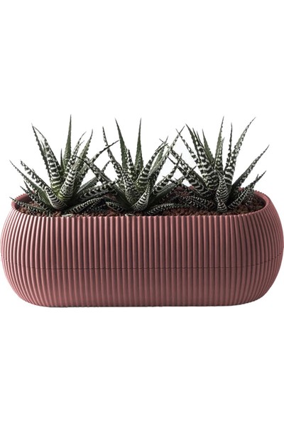 3b Trend 1,3 Litre Uzun Mercan Saksı Plastik Kaktüs Sukulent Saksısı No:2 Pembe 3b Trend 1,3 Litre Uzun Mercan Saksı Plastik Kaktüs Sukulent Saksısı No:2 Pembe