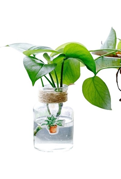 Charge Dekoratif Çıkartmalar