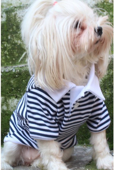 Petite Pati Polo Yaka Cizgili Kedi Kopek Kiyafeti