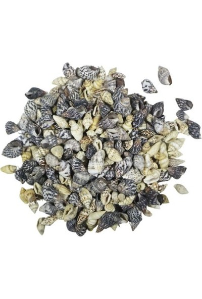 Kimyacınız Karışık Deniz Kabuğu 100 gr