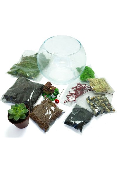 YoyoMoyo Teraryum Başlangıç Kiti