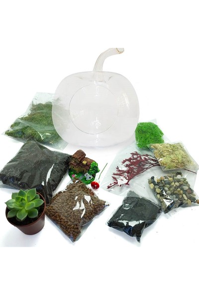 YoyoMoyo Teraryum Başlangıç Kiti Elma YoyoMoyo Teraryum Başlangıç Kiti Elma