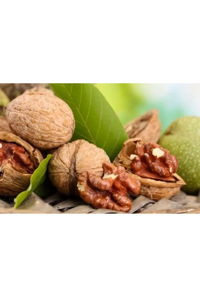 Diyarından Kabuklu Ceviz 1 kg Diyarından Kabuklu Ceviz 1 kg