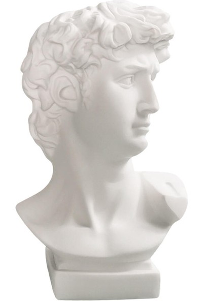 Baosity David Kafa Bitki Pot Çiçek Vazo Dekoratif Büstü Heykeli Ekici 6 cm (Yurt Dışından) Baosity David Kafa Bitki Pot Çiçek Vazo Dekoratif Büstü Heykeli Ekici 6 cm (Yurt Dışından)