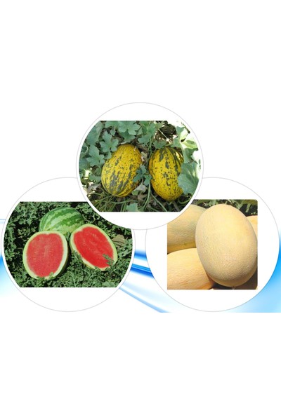 Karahasanoğlu Tarım 3'lü Hobi Tohum Seti-7 Solucan Gübresi) Karahasanoğlu Tarım 3'lü Hobi Tohum Seti-7 Solucan Gübresi)