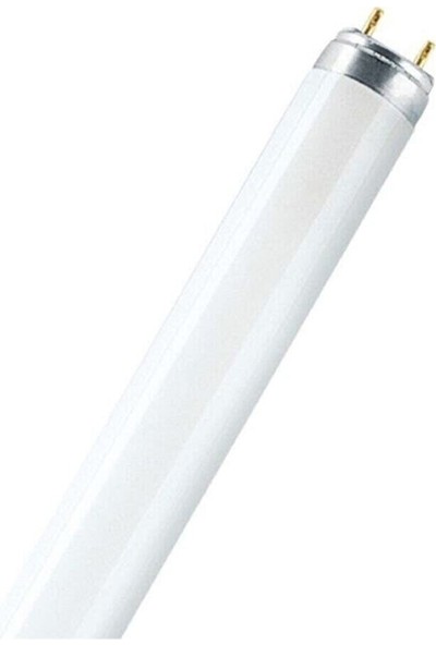 Gae Floresan Ampül T8 G13 18 W 60 cm Günışığı 3 Adet