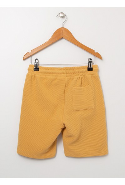 National Geographic Oversize Hardal Erkek Çocuk Şort - Rıgasboy