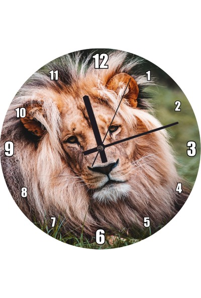 Cakatablo Çayırdaki Yorgun Aslan Kral Duvar Saati (Çap 30X30 Cm)