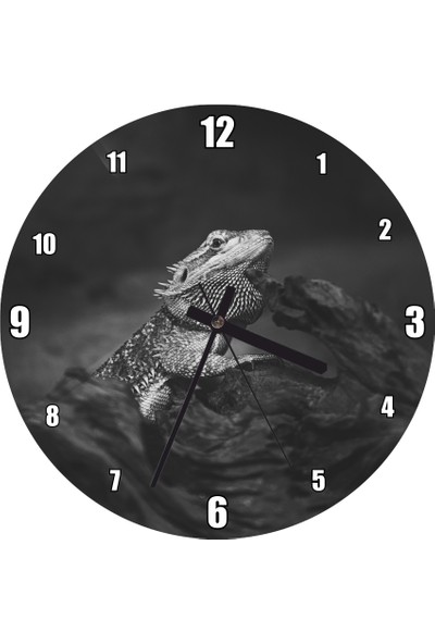 Cakatablo Karanlık Mod Iguana Duvar Saati (Çap 50X50 cm )