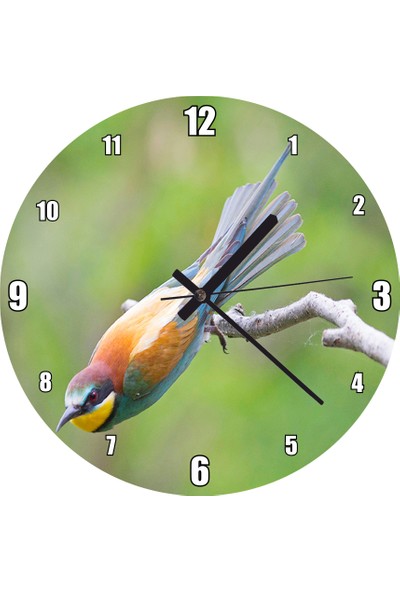 Cakatablo Daldan Ayrılmak Üzere Olan Rengarenk Kuş Duvar Saati (Çap 30X30 Cm)