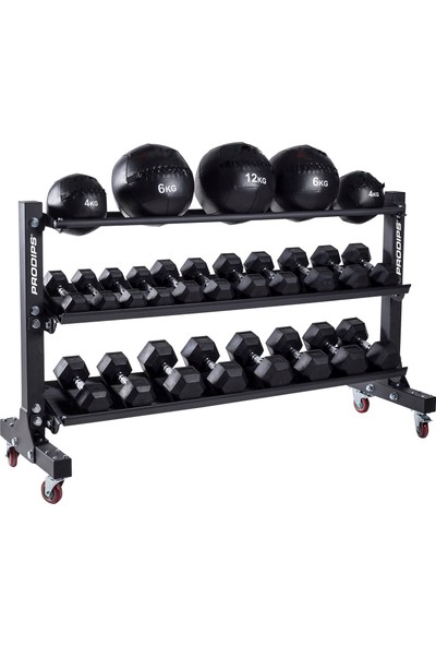 Mobil Profesyonel Dambıl ve Medicine Ball Sağlık Topudepolama Standı Mobil Profesyonel Dambıl ve Medicine Ball Sağlık Topudepolama Standı