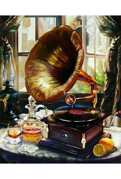 Hobi Tedarik Sarhoş Gramafon Çerçeveli Sayılarla Boyama Hobi Seti 40 x 50 cm
