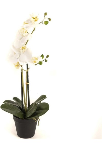 Klas Home Decor Beyaz 2'li Yapay Orkide Klas Home Decor Beyaz 2'li Yapay Orkide