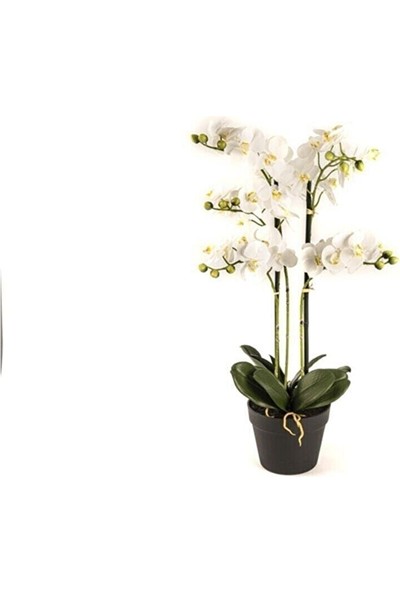 Klas Home Decor Beyaz 4'lü Yapay Orkide Klas Home Decor Beyaz 4'lü Yapay Orkide