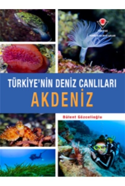 Akdeniz - Türkiye'nin Deniz Canlıları - Bülent Gözcelioğlu