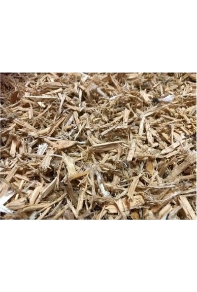 Master Cips Evcil Hayvan Altlığı