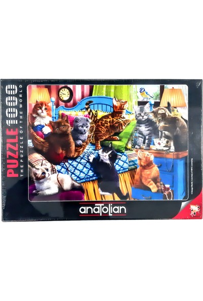 Anatolıa Şımarık Kediler -Cute Kittens Anatolıa Şımarık Kediler -Cute Kittens