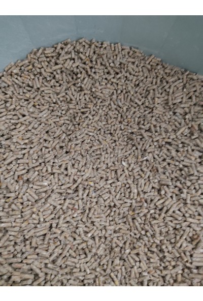 Proyem Salma Tavuk Yumurta Yemi 5 Kg.