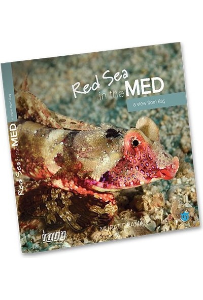 Kitap Kızıldeniz'den Akdeniz'e / Murat Draman Kitap Kızıldeniz'den Akdeniz'e / Murat Draman