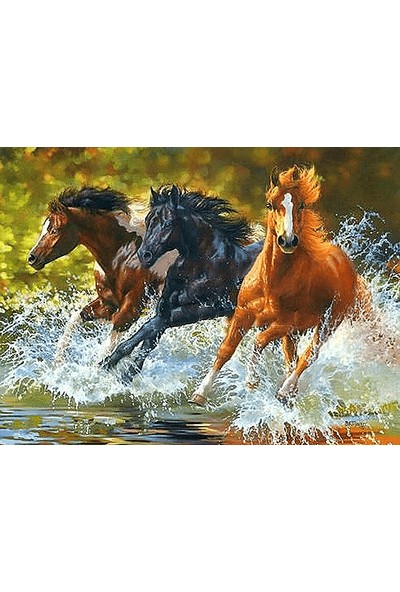 Hobi Tedarik Koşan Atlar Çerçeveli 50X65 Sayılarla Boyama Hobi Seti