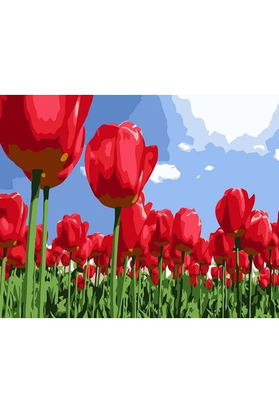 Hobi Tedarik Kırmızı Laleler Çerçeveli 40X50 Sayılarla Boyama Hobi Seti Hobi Tedarik Kırmızı Laleler Çerçeveli 40X50 Sayılarla Boyama Hobi Seti