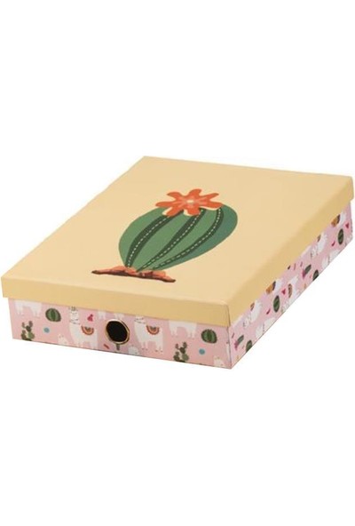 Gıpta Llma Evrak Kutusu ORG8844 1 Adet