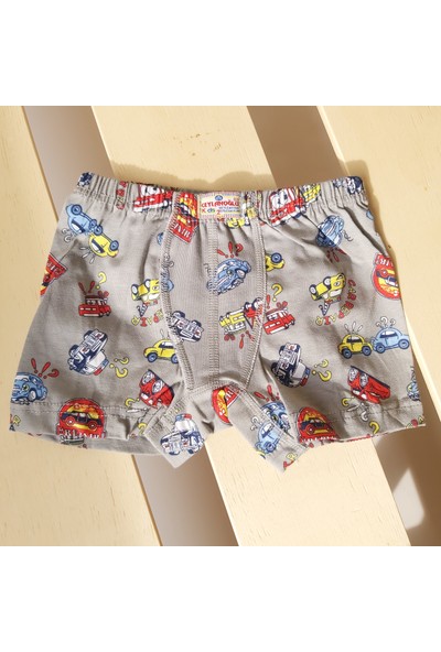 Ceylanoğlu Erkek Çocuk Desenli Boxer 6'lı