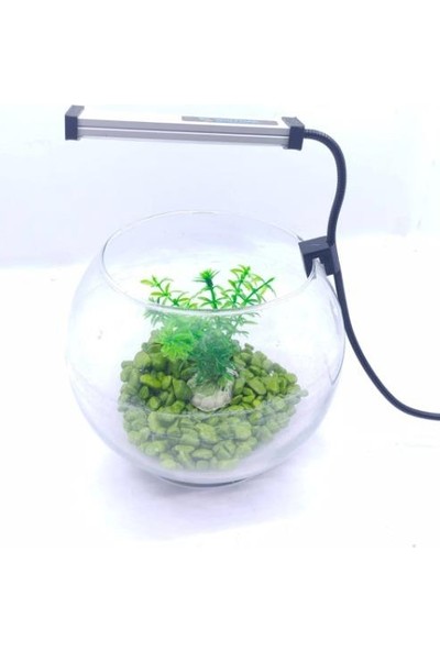 Wolfmar USB LED Aydınlatma - Nano Akvaryum - Fanus LED Aydınlatma Karışık Renkli 10CM Wolfmar USB LED Aydınlatma - Nano Akvaryum - Fanus LED Aydınlatma Karışık Renkli 10CM