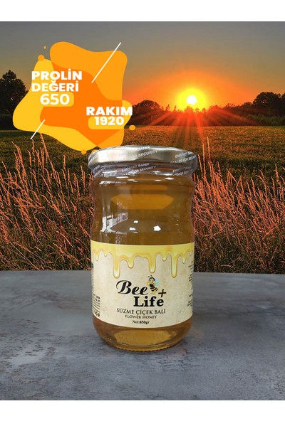 Bee Life Süzme Çiçek Balı (Doğal Yüksek Yayla Balı ) 850 gr Bee Life Süzme Çiçek Balı (Doğal Yüksek Yayla Balı ) 850 gr
