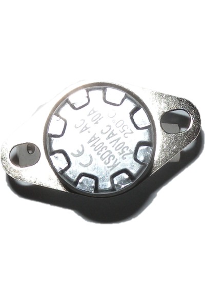 Haskap 4'lü Seramik Termostat 250 °c