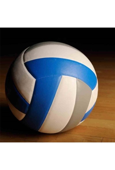 Voleybol Topu Profesyonel Boy