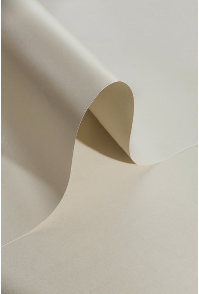 Roco Paper Co. Sedef Fon Karton 50X70 160GR Krem - 3'lü Roco Paper Co. Sedef Fon Karton 50X70 160GR Krem - 3'lü
