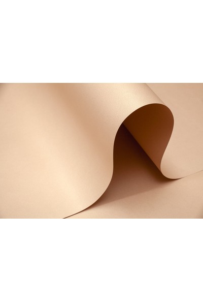 Roco Paper Co. Sedef Fon Karton 50X70 Pudra Pembe- 3'lü Roco Paper Co. Sedef Fon Karton 50X70 Pudra Pembe- 3'lü