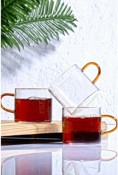 Henna Home 3 Lü Borosilikat Cam Kahve Fincanı