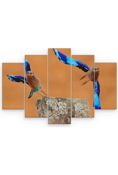 Hero Tasarım Çift Kuş 5 Parça Mdf TABLOTGTB452