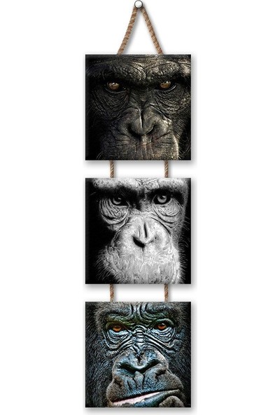 Hero Tasarım Maymun 3 Parça Ipli Mdf TABLOTLH1071