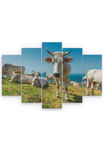 Hero Tasarım Inek 5 Parça Mdf TABLOTGTB460