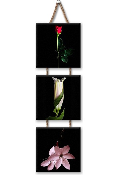 Hero Tasarım Çiçek 3 Parça Ipli Mdf TABLOTLH1570