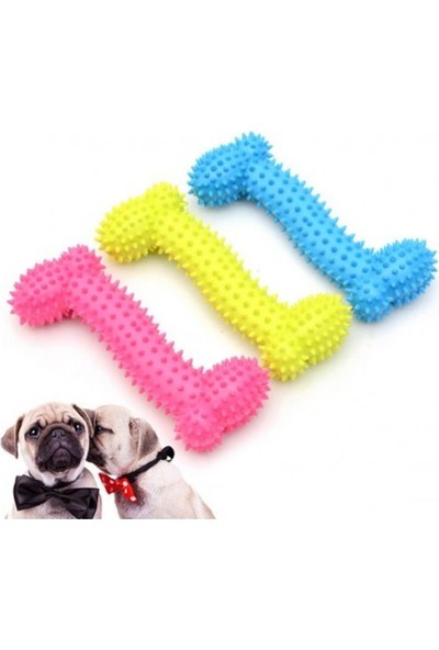 OEM Kemik Şeklinde Diş Kaşıma & Isırma