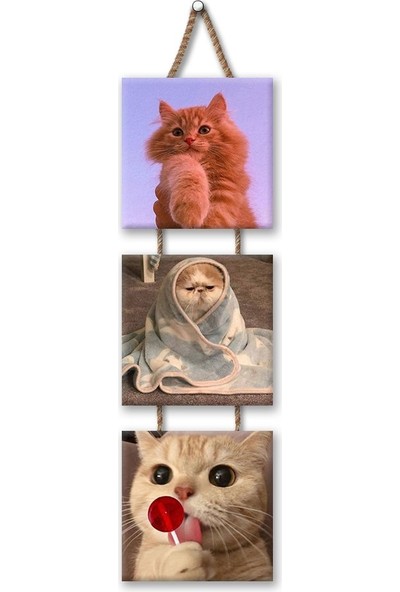 Hero Tasarım Kedi 3 Parça Ipli Mdf TABLOTLH2621