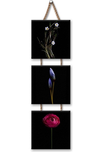 Hero Tasarım Çiçek 3 Parça Ipli Mdf TABLOTLH1569