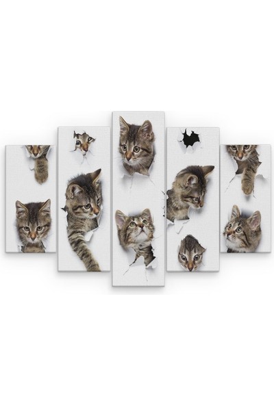 Hero Tasarım Kedi 5 Parça Mdf TABLOTGTB235