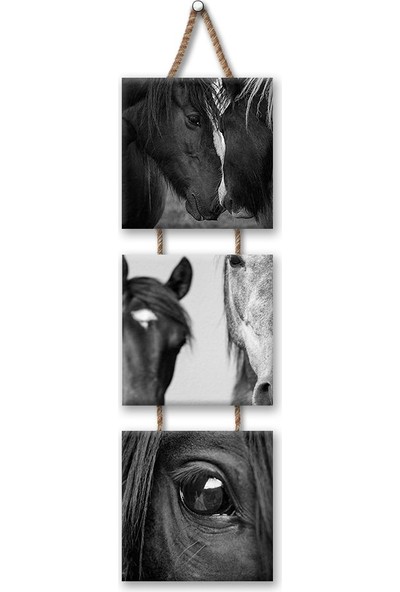 Hero Tasarım At 3 Parça Ipli Mdf TABLOTLH2635