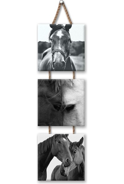 Hero Tasarım At 3 Parça Ipli Mdf TABLOTLH2633