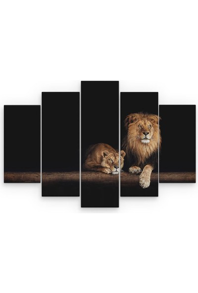 Hero Tasarım Aslan ve Dişi Aslan 5 Parça Mdf TABLOTGTB223 Hero Tasarım Aslan ve Dişi Aslan 5 Parça Mdf TABLOTGTB223