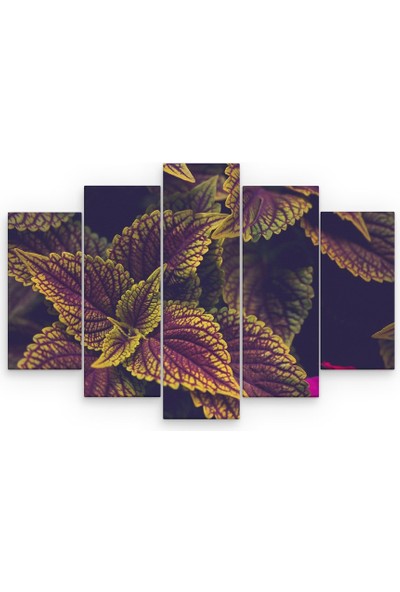 Hero Tasarım Çiçek 5 Parça Mdf TABLONHL496