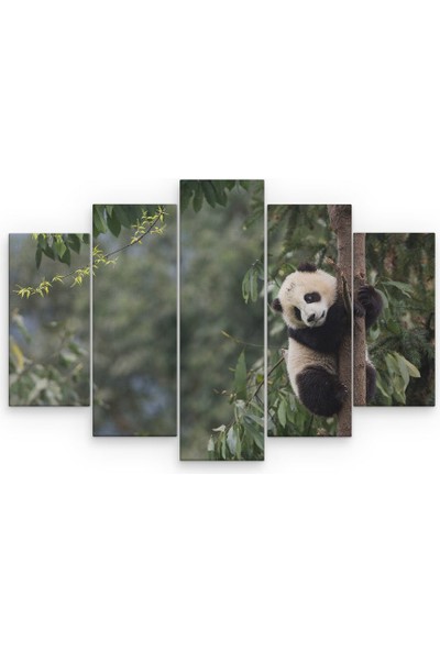Hero Tasarım Ağaçta Panda 5 Parça Mdf TABLOTGTB757 Hero Tasarım Ağaçta Panda 5 Parça Mdf TABLOTGTB757