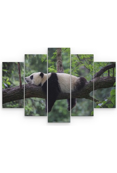 Hero Tasarım Üşengeç Panda 5 Parça Mdf TABLOTGTB779 Hero Tasarım Üşengeç Panda 5 Parça Mdf TABLOTGTB779